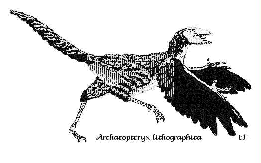 PALEONTOLOGICAL STUDIES OF SOUTH CAROLINA | Feathered Dinosaurs Feature ...