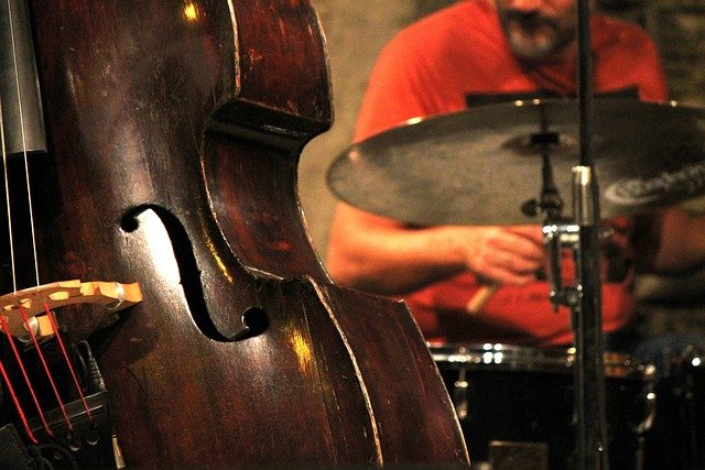 Double Bass Facts for Kids – Learn About the Largest String Instrument ...