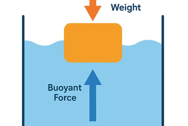 What Is Buoyancy? Floating and Sinking Explained for Kids - Academic Kids