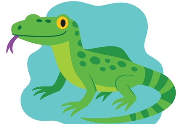 Monitor Lizard Facts for Kids – Powerful Reptiles of the World ...