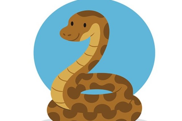 Boa Constrictor Facts for Kids – Powerful South American Snake ...
